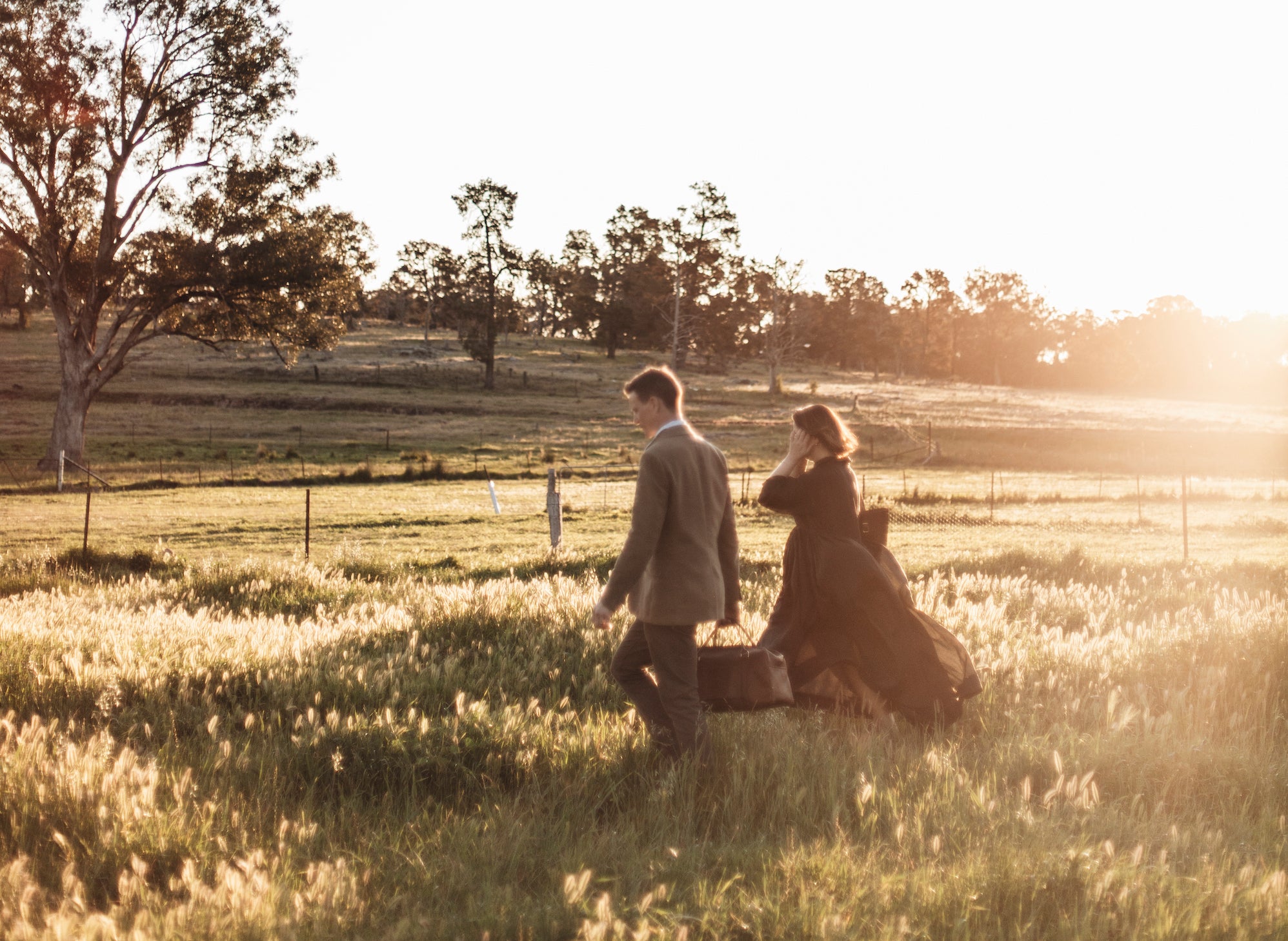 Wrapup of the year 2024 – Saddler & Co